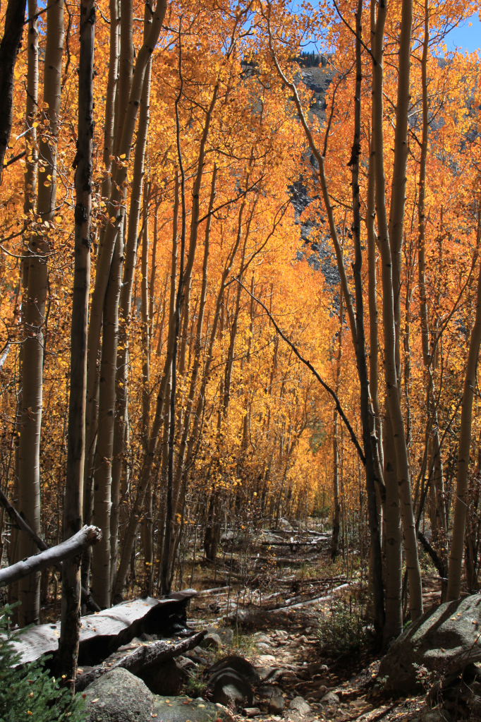 Happy Hiking: Abyss Lake Trail - ETB Travel Photography