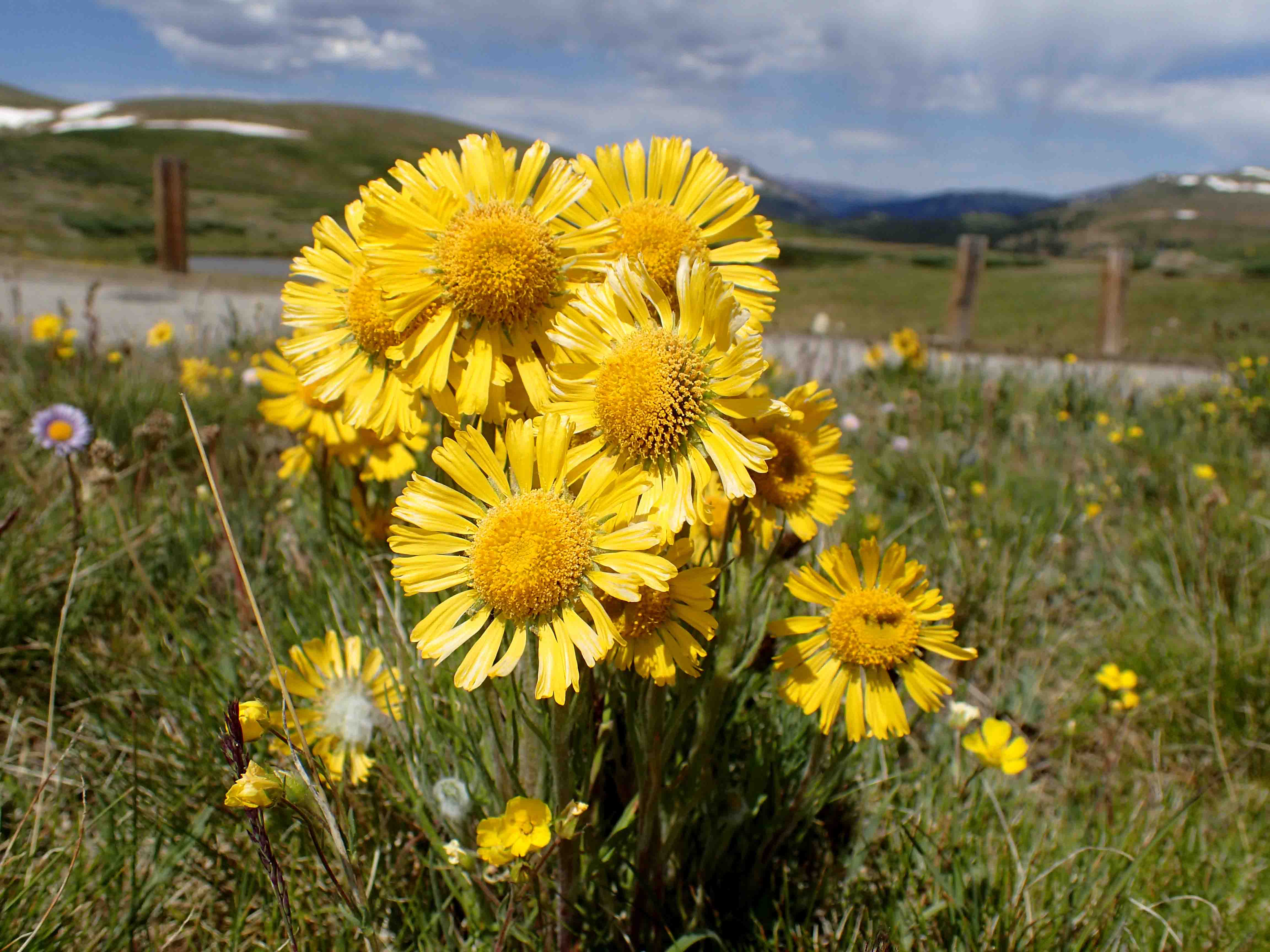 Aspen and Conundrum Hot Springs - ETB Travel Photography