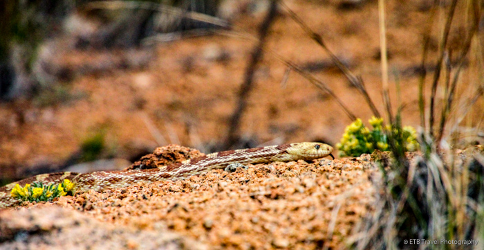 Roadtrip to the Rockies: Gill Trail - ETB Travel Photography