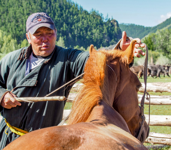 Activities on the Mongolian Steppe - ETB Travel Photography