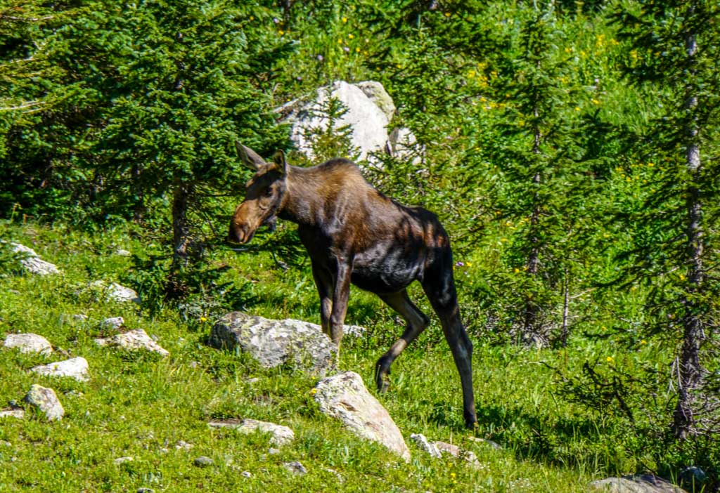 3 Hikes on the West Side of Rocky Mountain National Park - ETB Travel ...