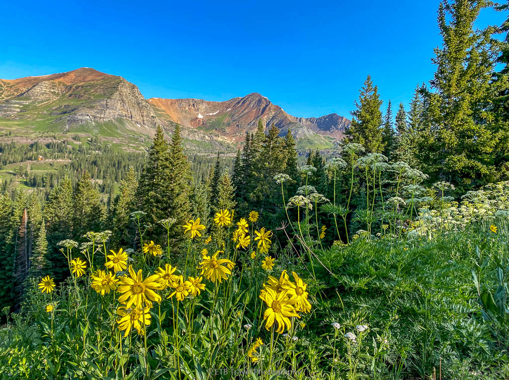 Happy Hiking: Scarp Ridge - ETB Travel Photography
