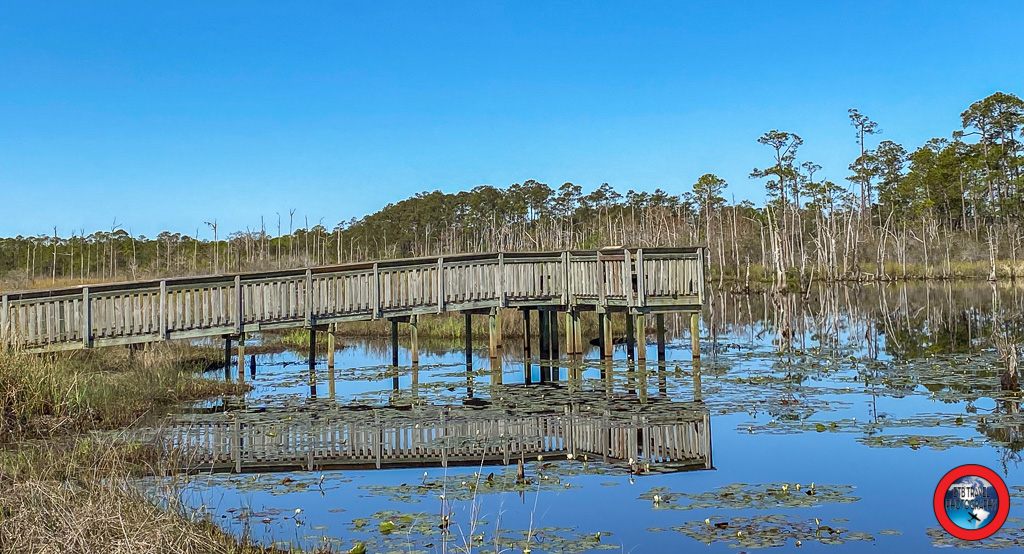 Things to Do in Covington - ETB Travel Photography