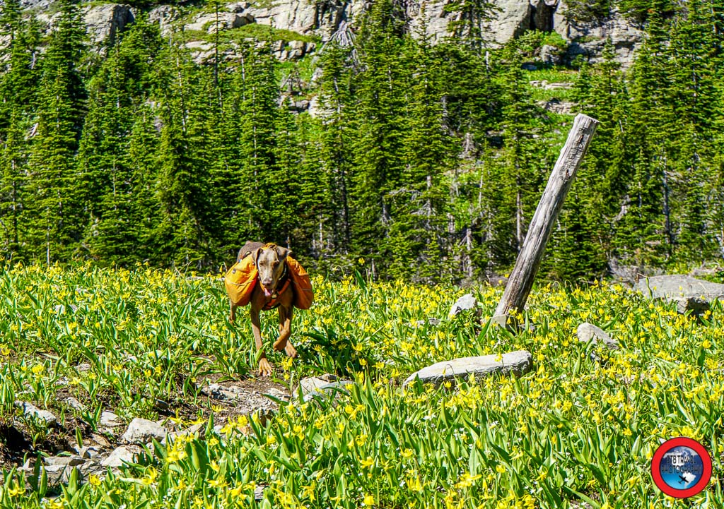 Hike to Bluebird Lake - ETB Travel Photography