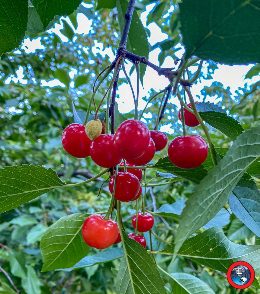 Flathead Food Tour - ETB Travel Photography