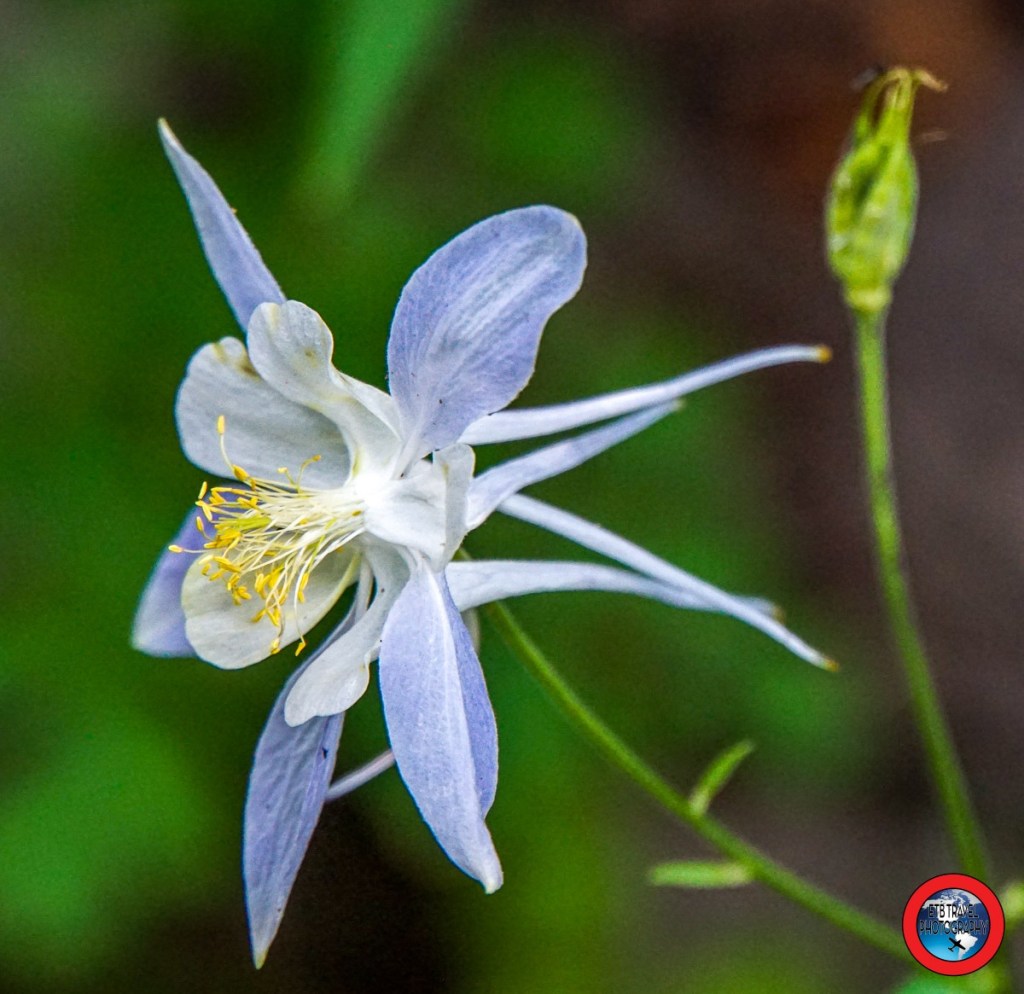 Hike to Ski Lake and Phillips Pass - ETB Travel Photography