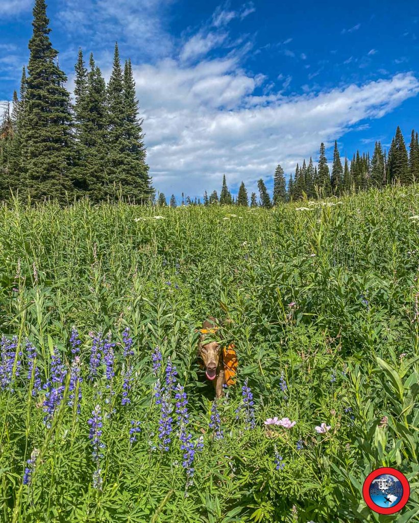 Hike to Ski Lake and Phillips Pass - ETB Travel Photography