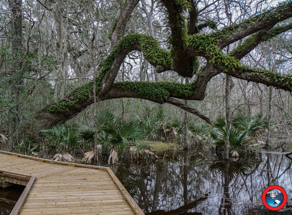 San Bernard National Wildlife Refuge - ETB Travel Photography
