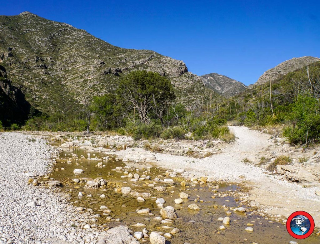 Happy Hiking: McKittrick Canyon Trail to Hunter Line Shack - ETB Travel ...