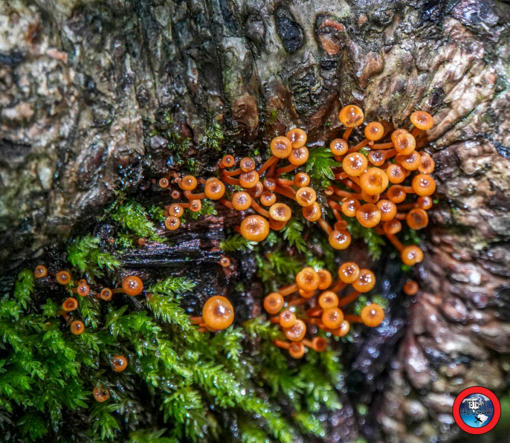 Happy Hiking: Alum Cave Trail - ETB Travel Photography