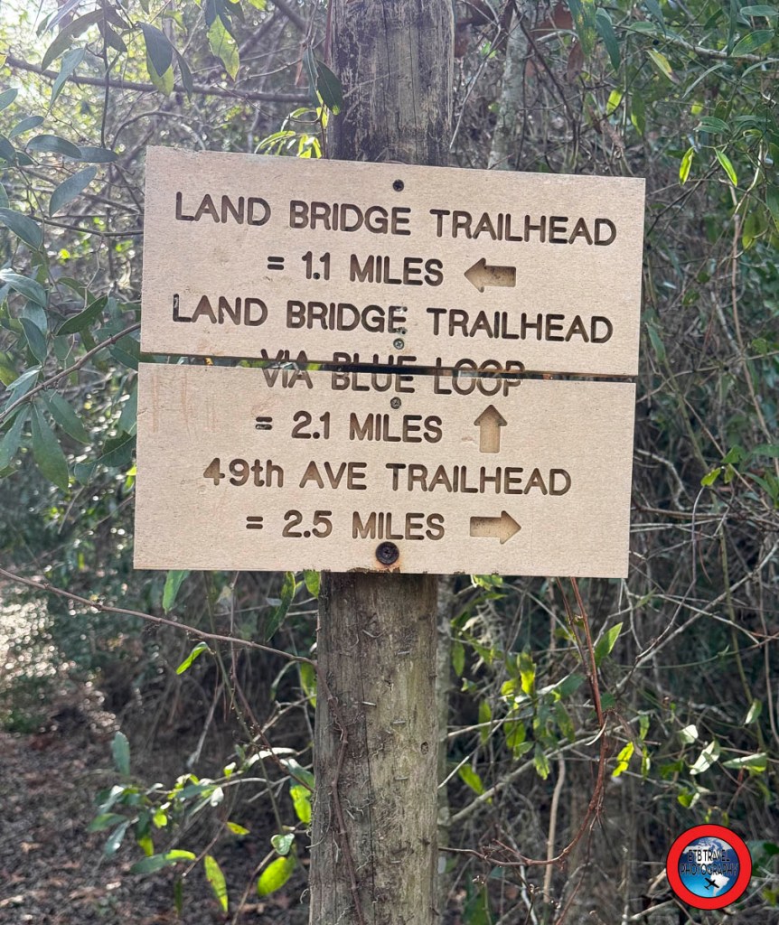 Cross Florida Greenway: Land Bridge Trail - ETB Travel Photography