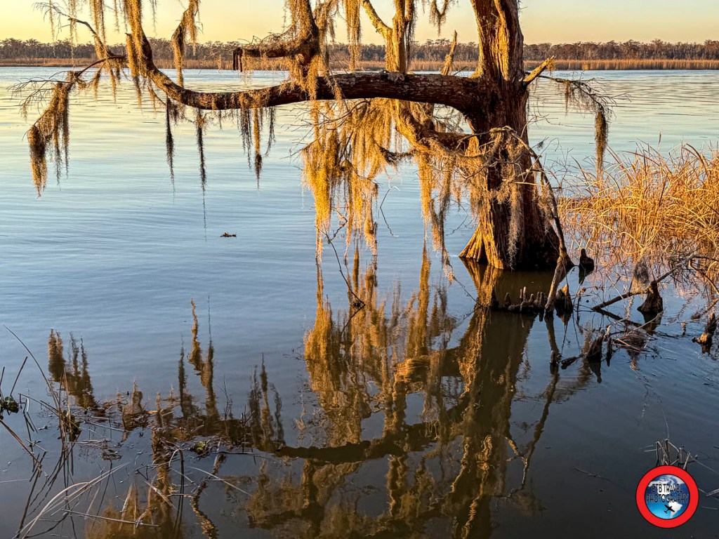 Historic Blakeley State Park - ETB Travel Photography