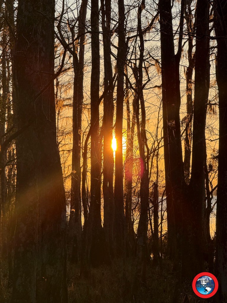 Historic Blakeley State Park - ETB Travel Photography